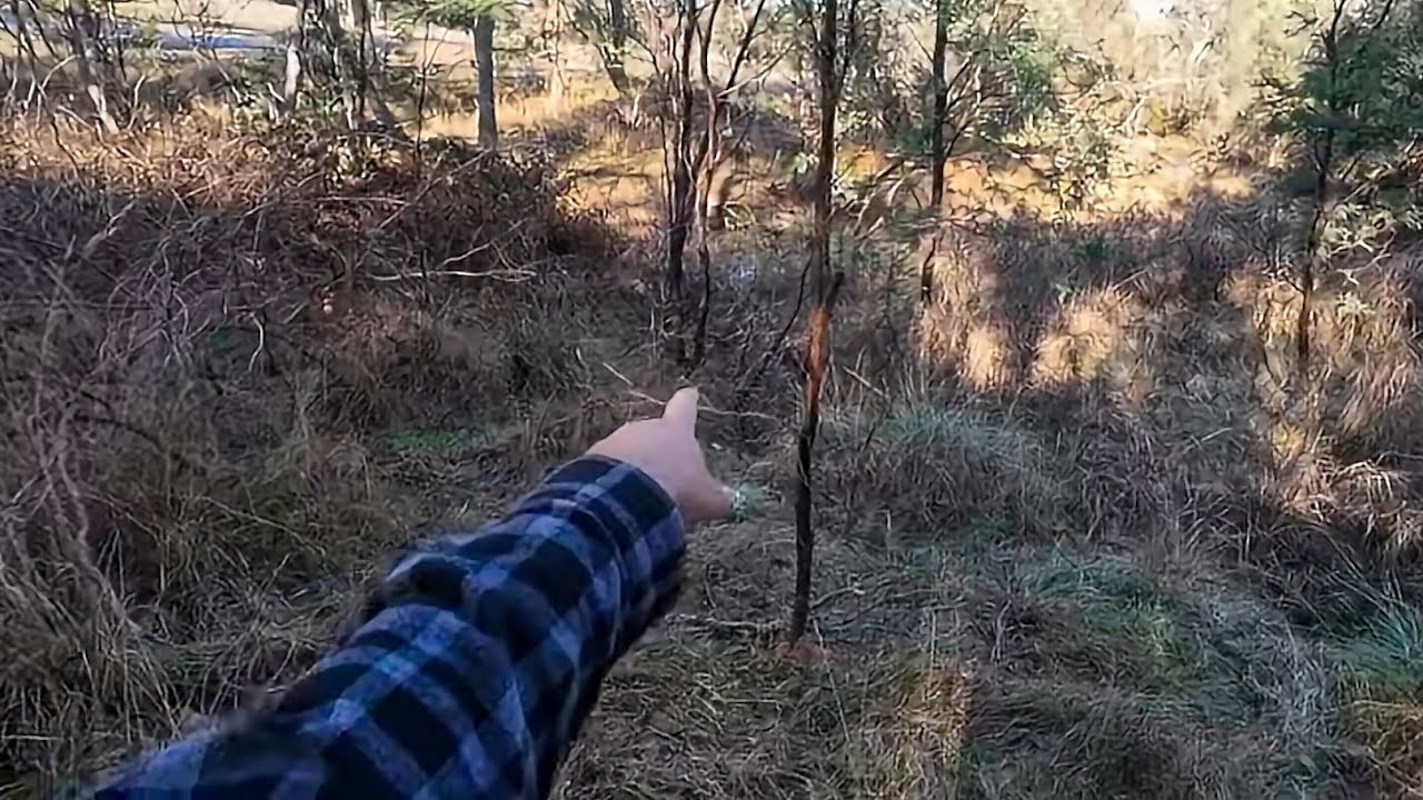 July Monthly Fishing Bloopers, Trail Camera And Other Footage Mashup ...