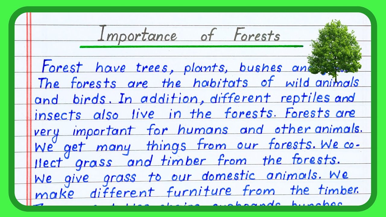Importance of Forest essay in english | English Writing | Handwriting ...