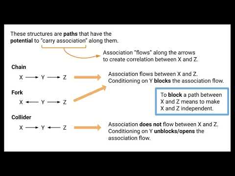 Causal and Noncausal Paths - YouTube