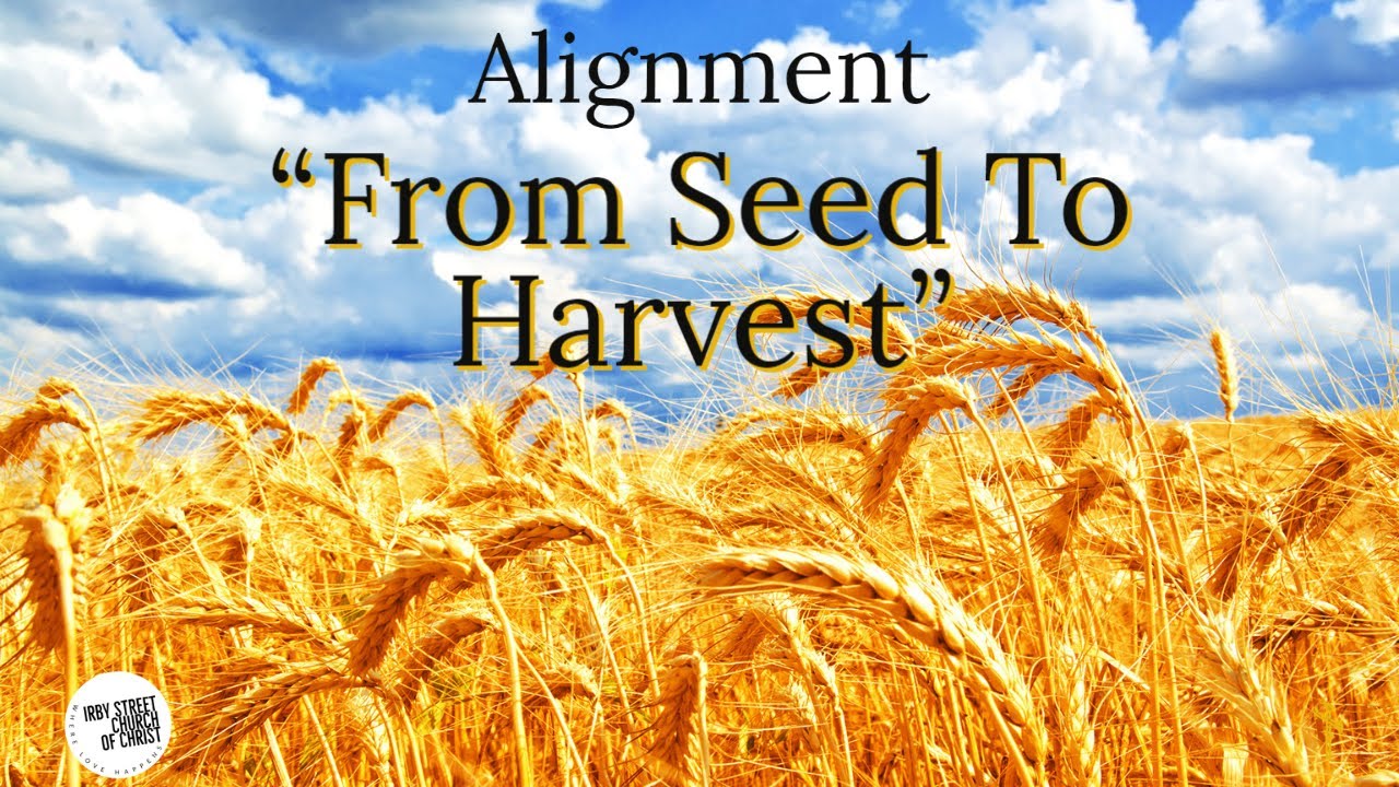 Alignment "From Seed To Harvest" | Harold Ellerbe | Irby St. Church of ...