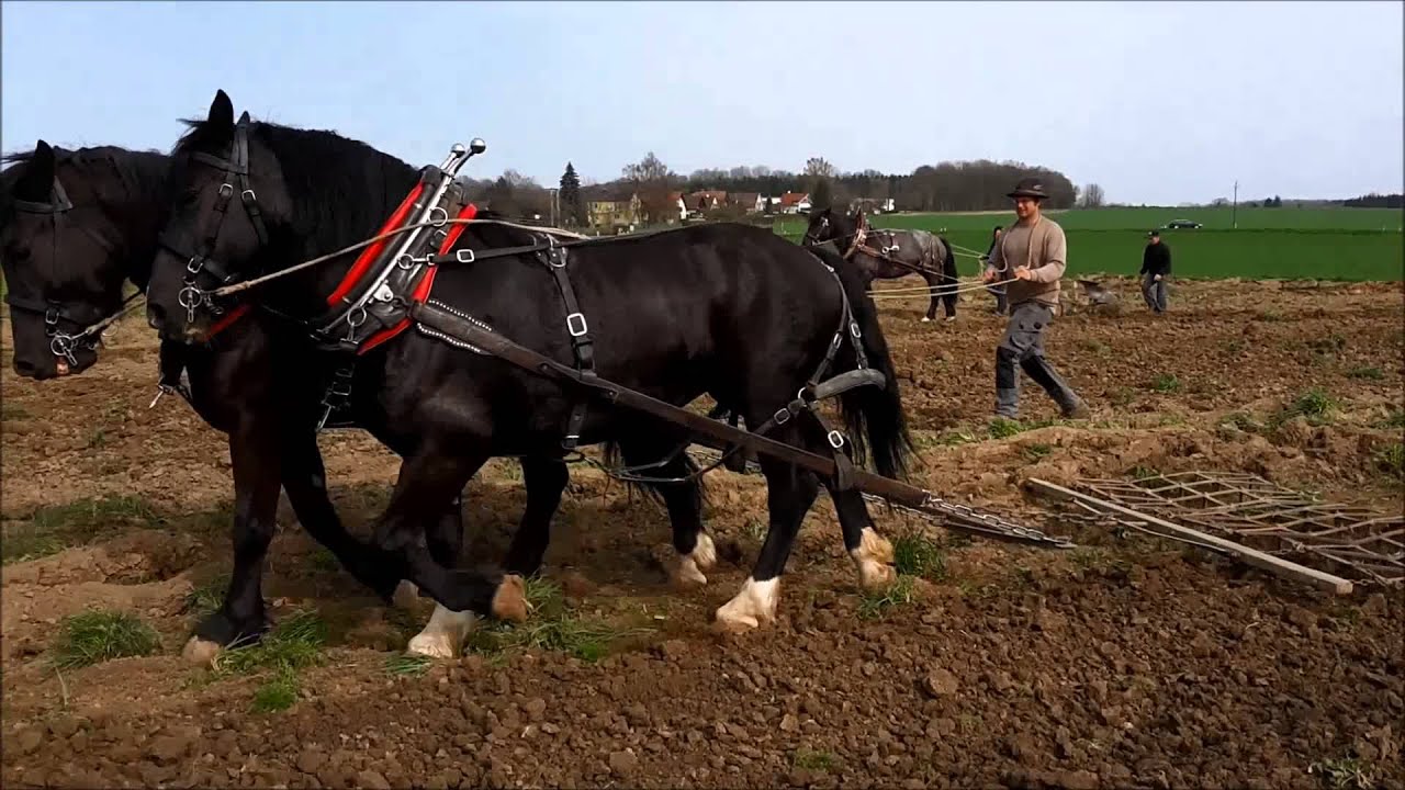 Die Ackeregge - YouTube