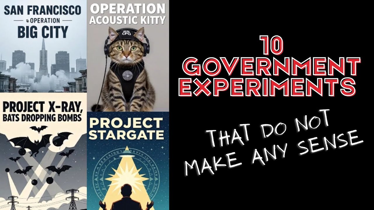 10 Government EXPERIMENTS that do not make ANY sense! - YouTube