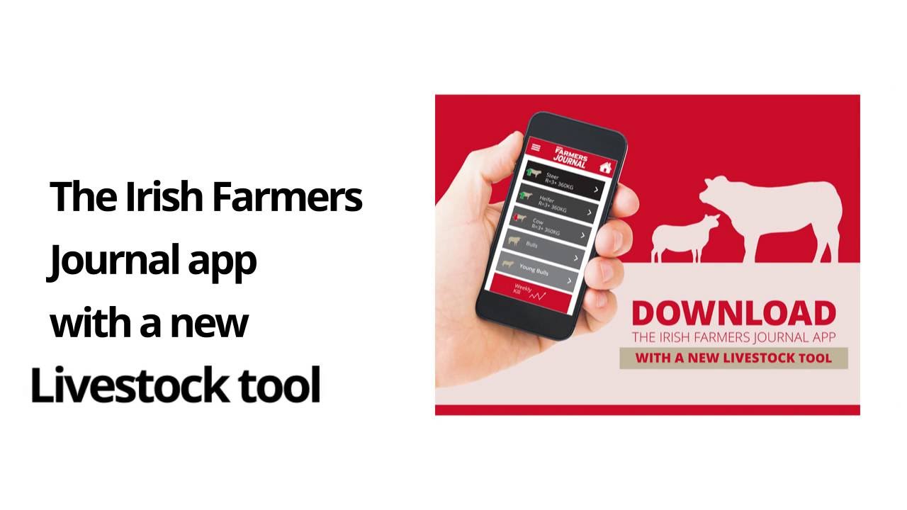 The Irish Farmers Journal App with the new Livestock Tool - YouTube