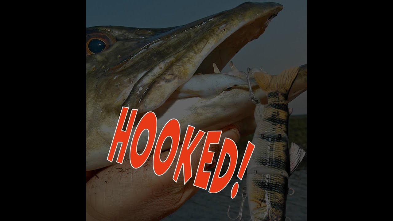 Robobait Gets Smashed And Hooks A Pike! - YouTube