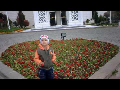 SEN BURALARA NASIL GELDİN