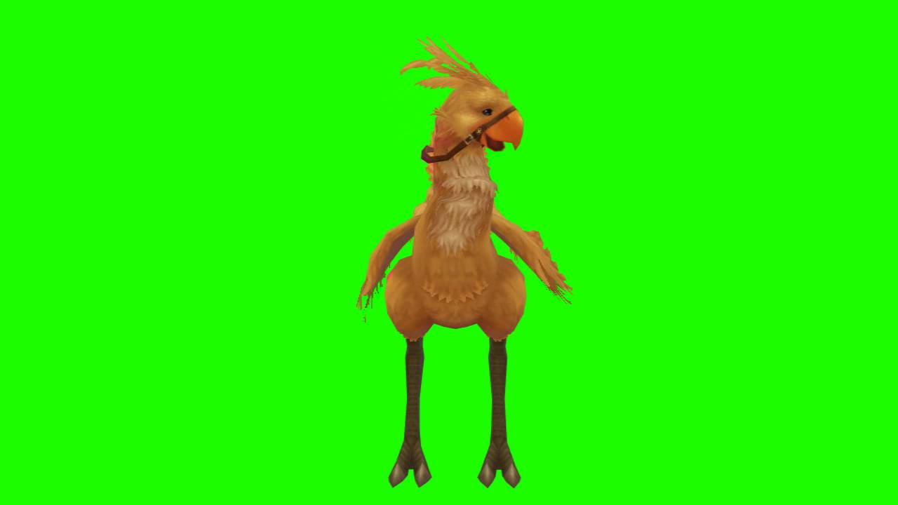 Chocobo animated front (final fantasy) chroma - YouTube