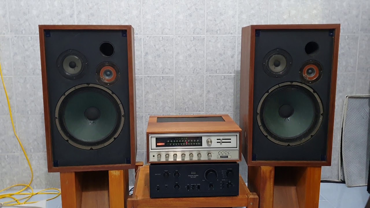 Loa Mỹ DLK model 2, hàng hiếm, chất cực chất, audio bãi an giang ...