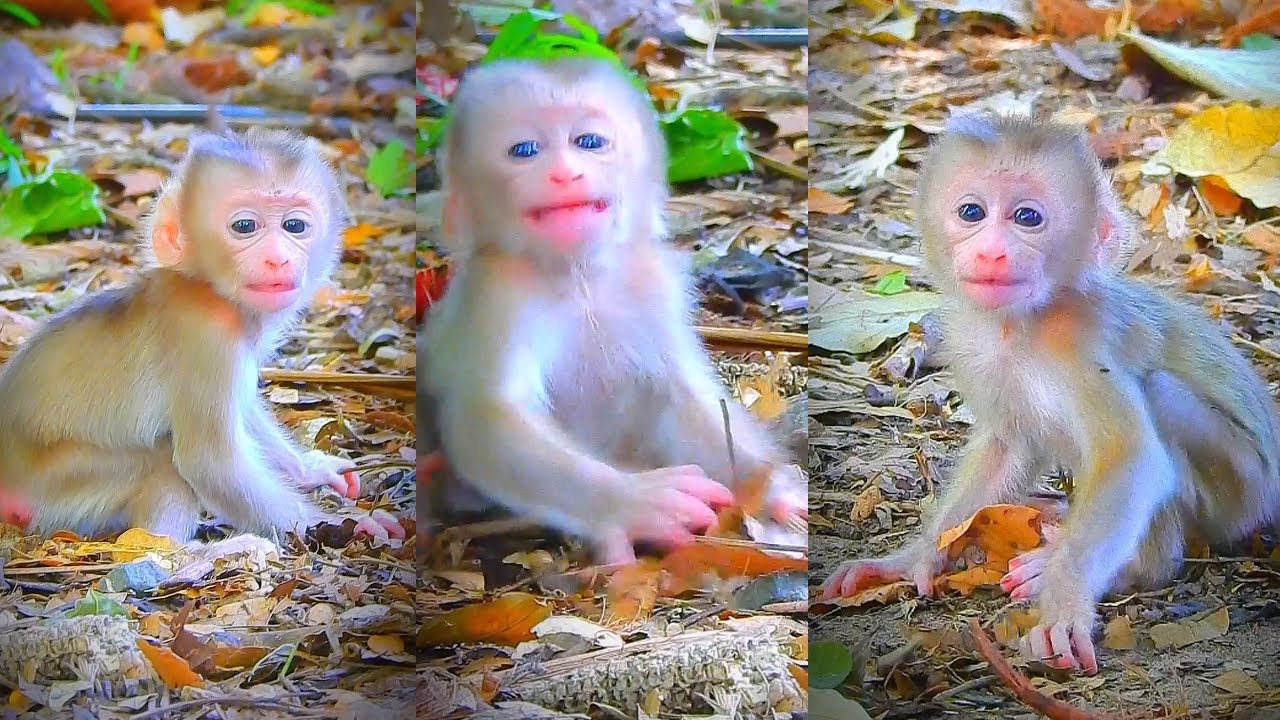 Feeling So pity Adorable Jenifer tired body very shaking, Why Julie put ...