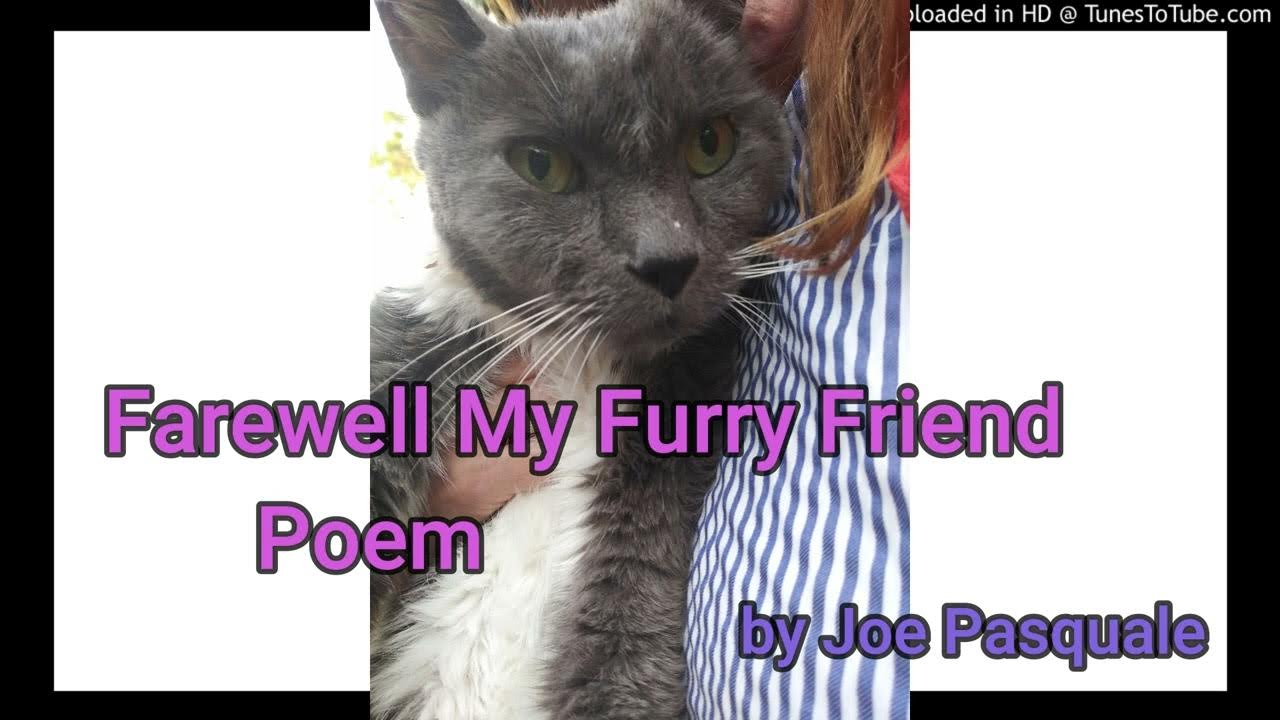 Farewell My Furry Friend - Poem and Poetry by the poet Joe Pasquale ...