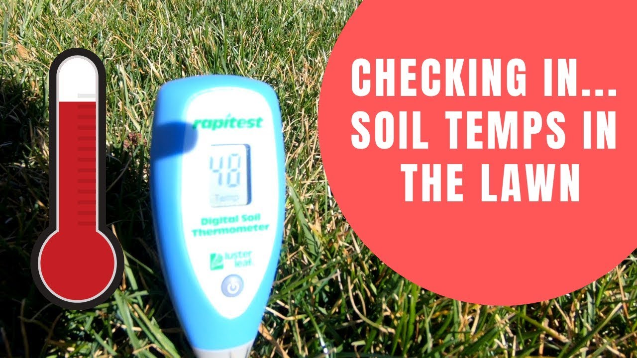 Checking In On Soil Temperatures In The Lawn - YouTube