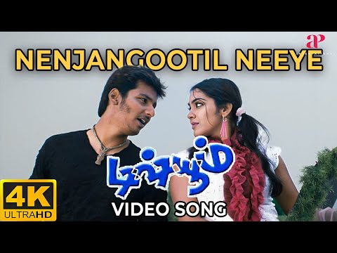 Nenjangootil Neeye 4K Video Song | Dishyum Movie Songs | Jiiva | Sandhya | Vijay Antony | Dishyum