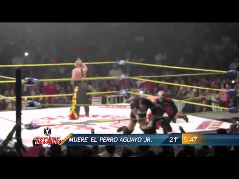 Las Noticias - La muerte del Perro Aguayo Jr. en investigación