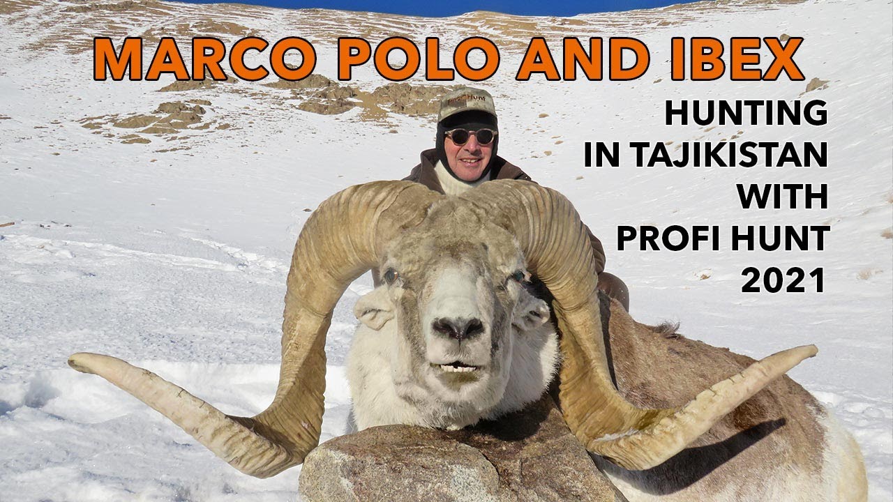 MARCO POLO AND IBEX HUNTING IN TAJIKISTAN WITH PROFI HUNT 2021 - YouTube