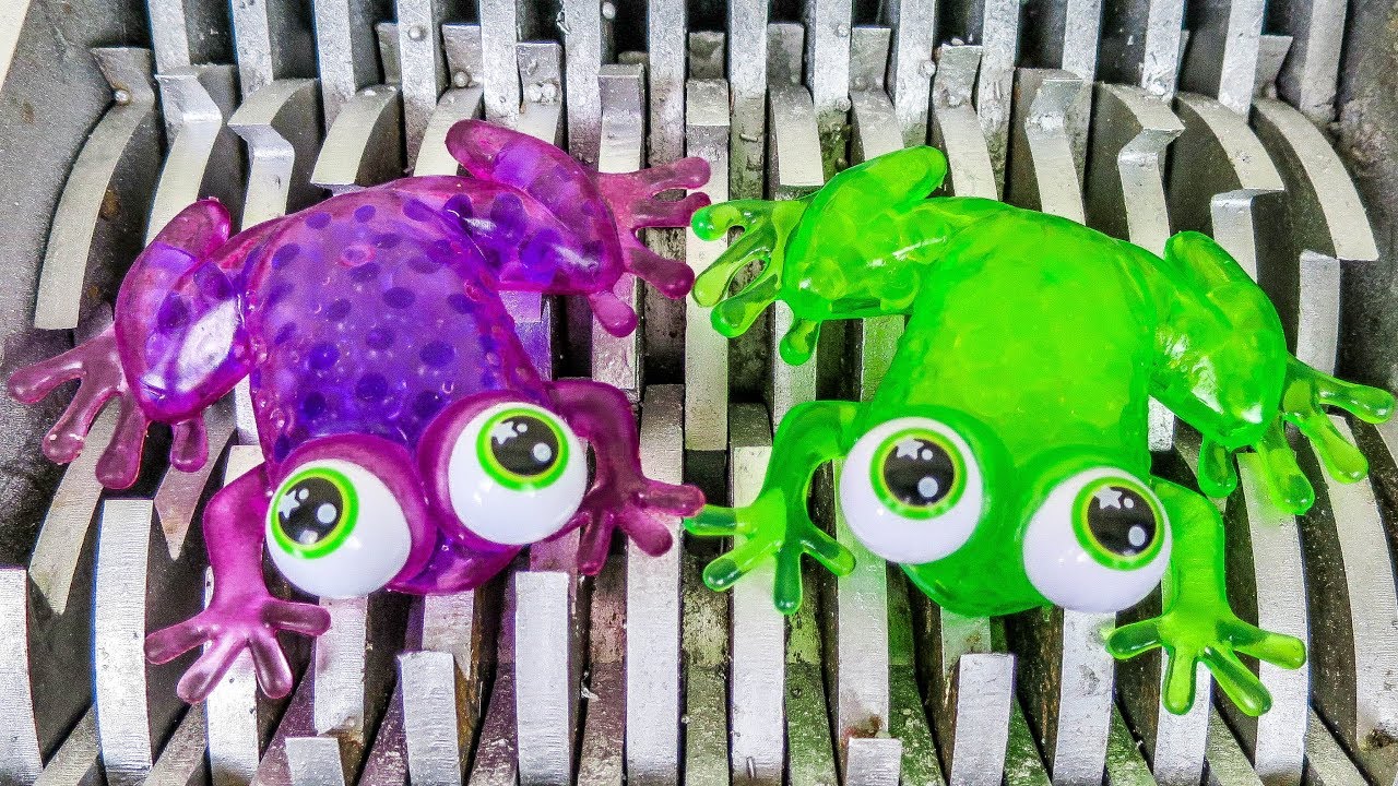 Shredding Rainbow Frogs! Squishy Toys Destroyed Experiment! - YouTube