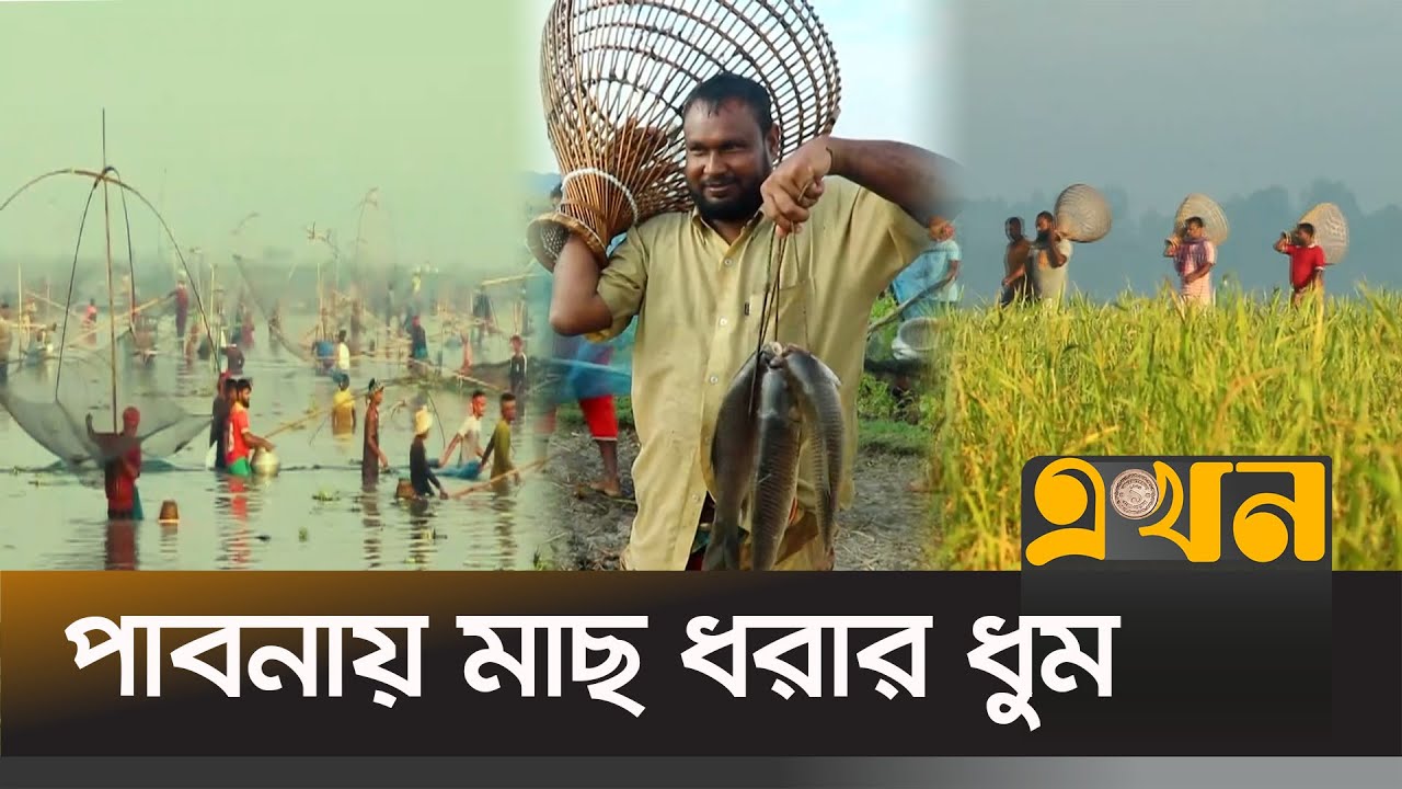 চলনবিলে ঐতিহ্যবাহী বাউত উৎসব | Pabna News | Cholonbil | Fishing News ...
