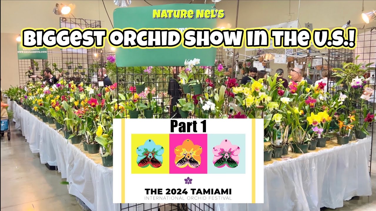 Part 1 of THE GREATEST ORCHID SHOW IN THE U.S. come see more orchids ...