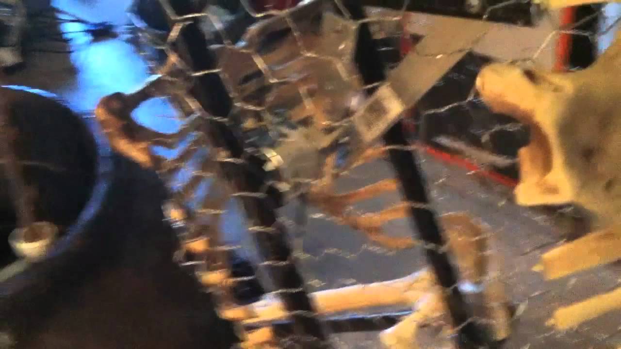 Cauldron Vampire Creep 2012 "How To" - YouTube