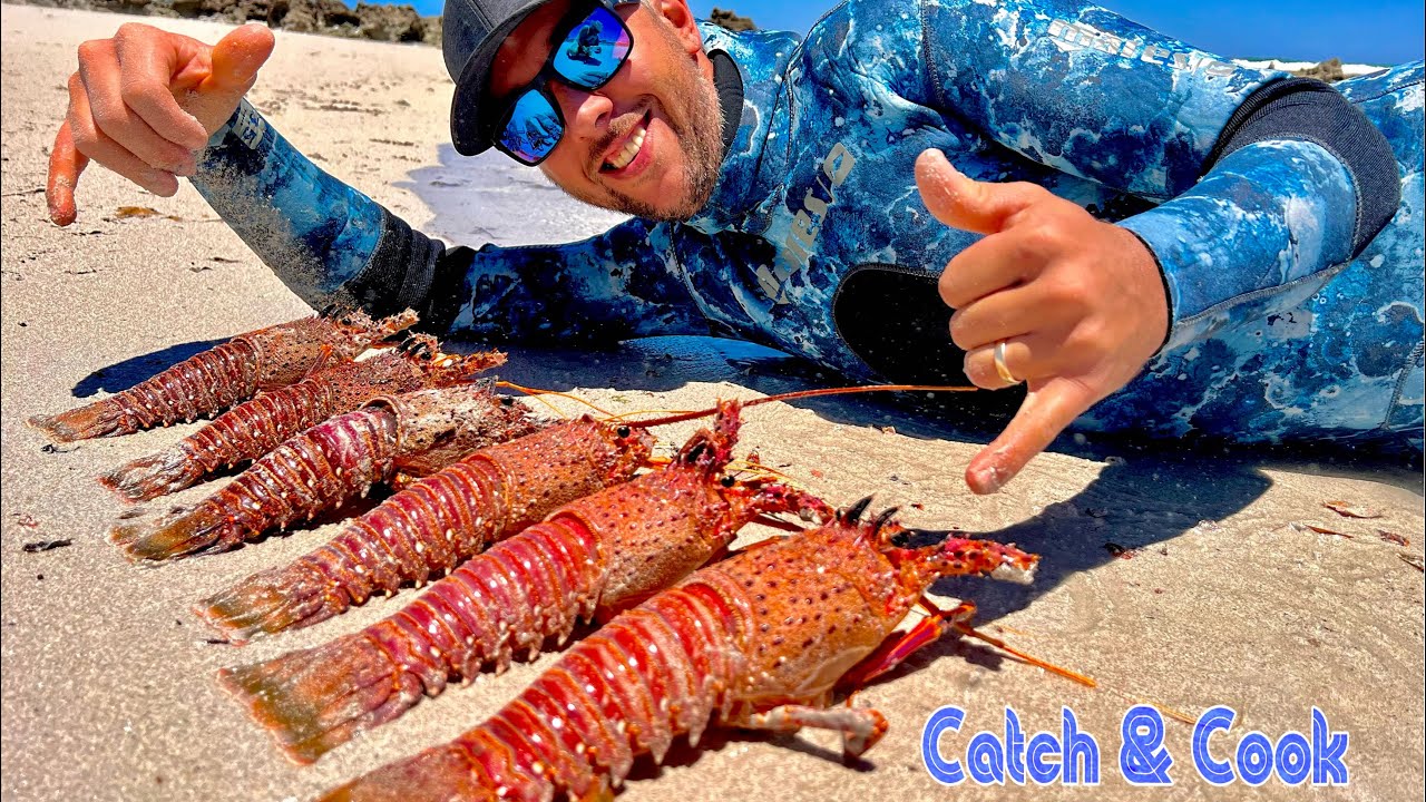 Lobster catch and cook - mornay lobster - free diving using only hands ...