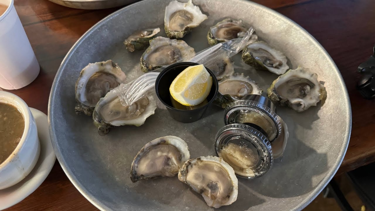 Raw Oysters, Gumbo & Seafood Platter at Sea N Suds - YouTube