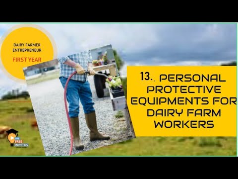 13.PERSONAL PROTECTIVE EQUIPMENTS FOR DAIRY FARM WORKERS - YouTube