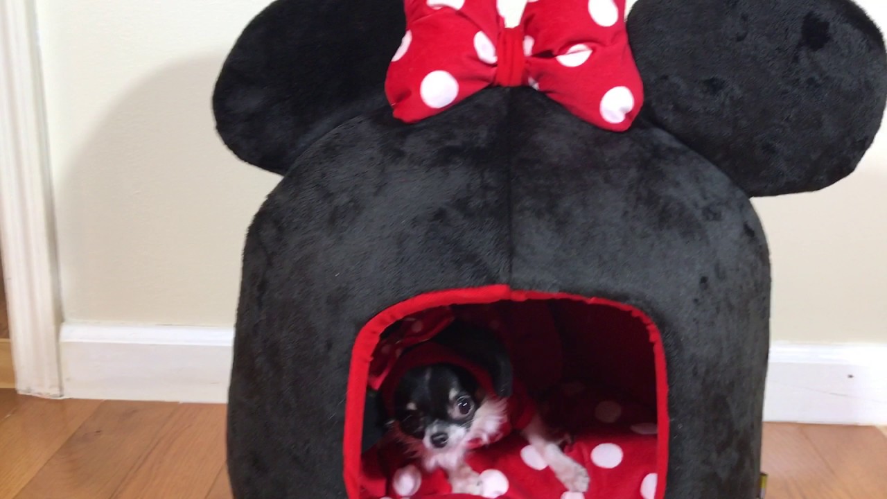 ** Pixie Mouse House ** - YouTube