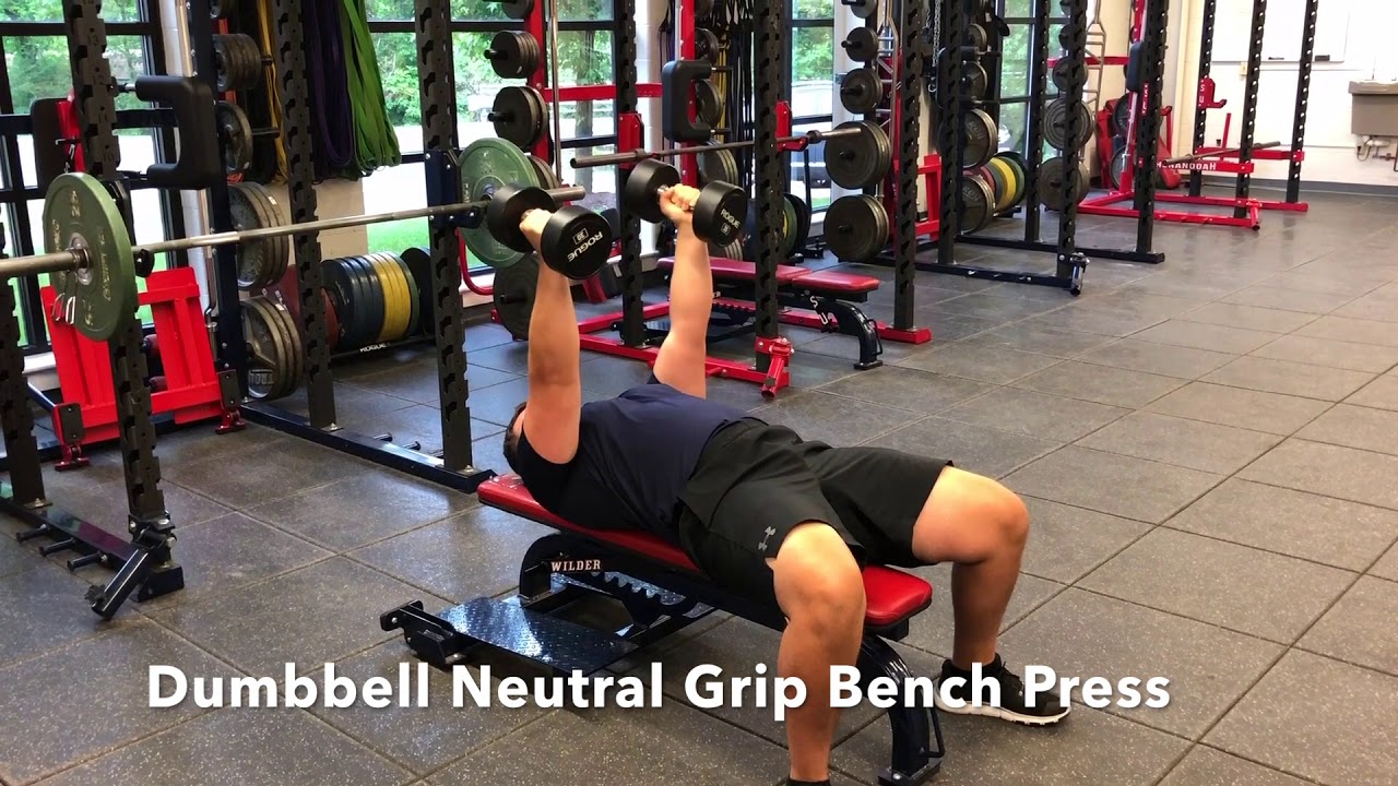 Dumbbell Neutral Grip Bench Press - YouTube