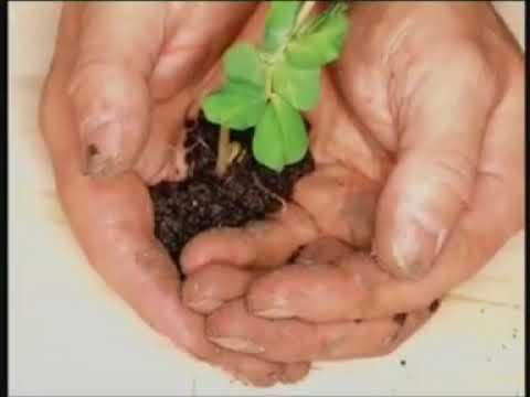 İnsan ve Sırları   Tefekkür Damlaları