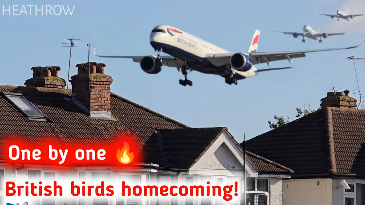 British birds returning home! 😯 Heathrow Airport London 🇬🇧 ️ # ...