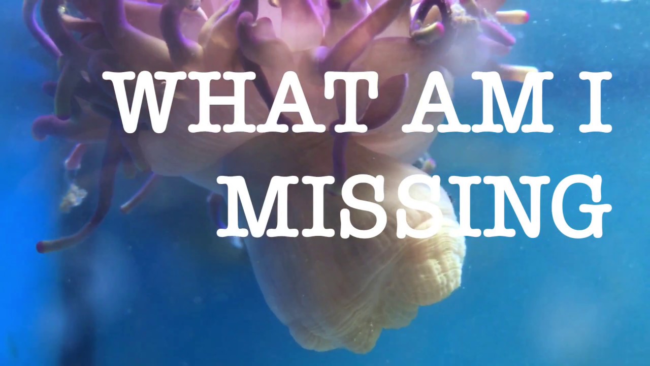 Trevor Wilson - What Am I Missing (Official Video) - YouTube