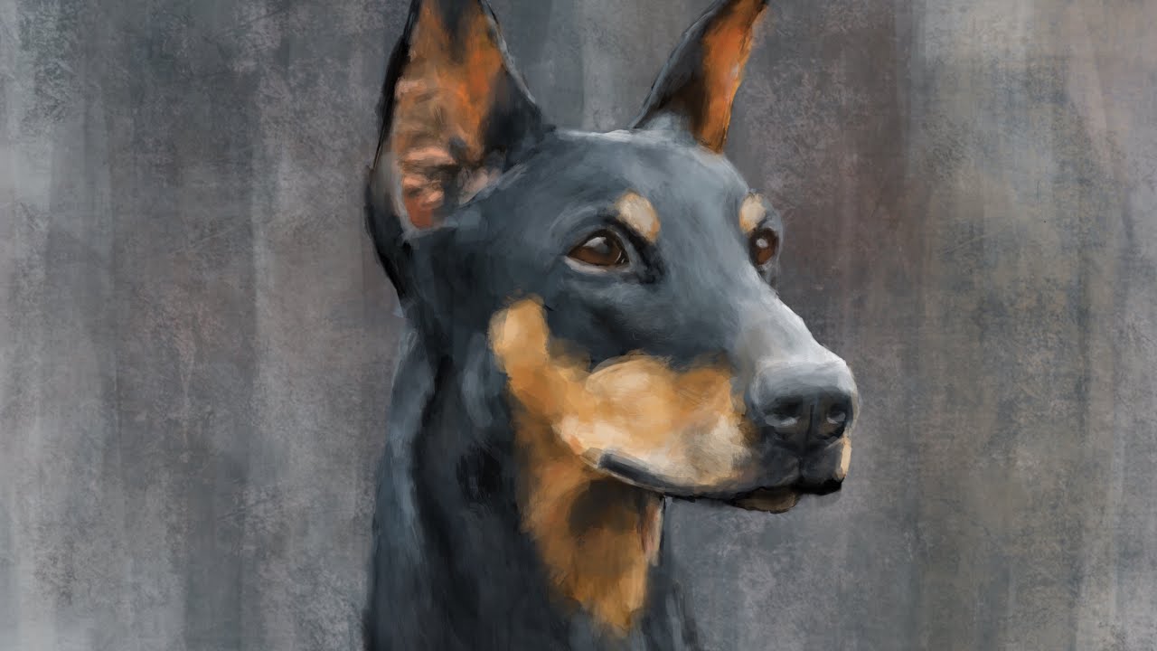 Doberman Speedpaint with Procreate - YouTube