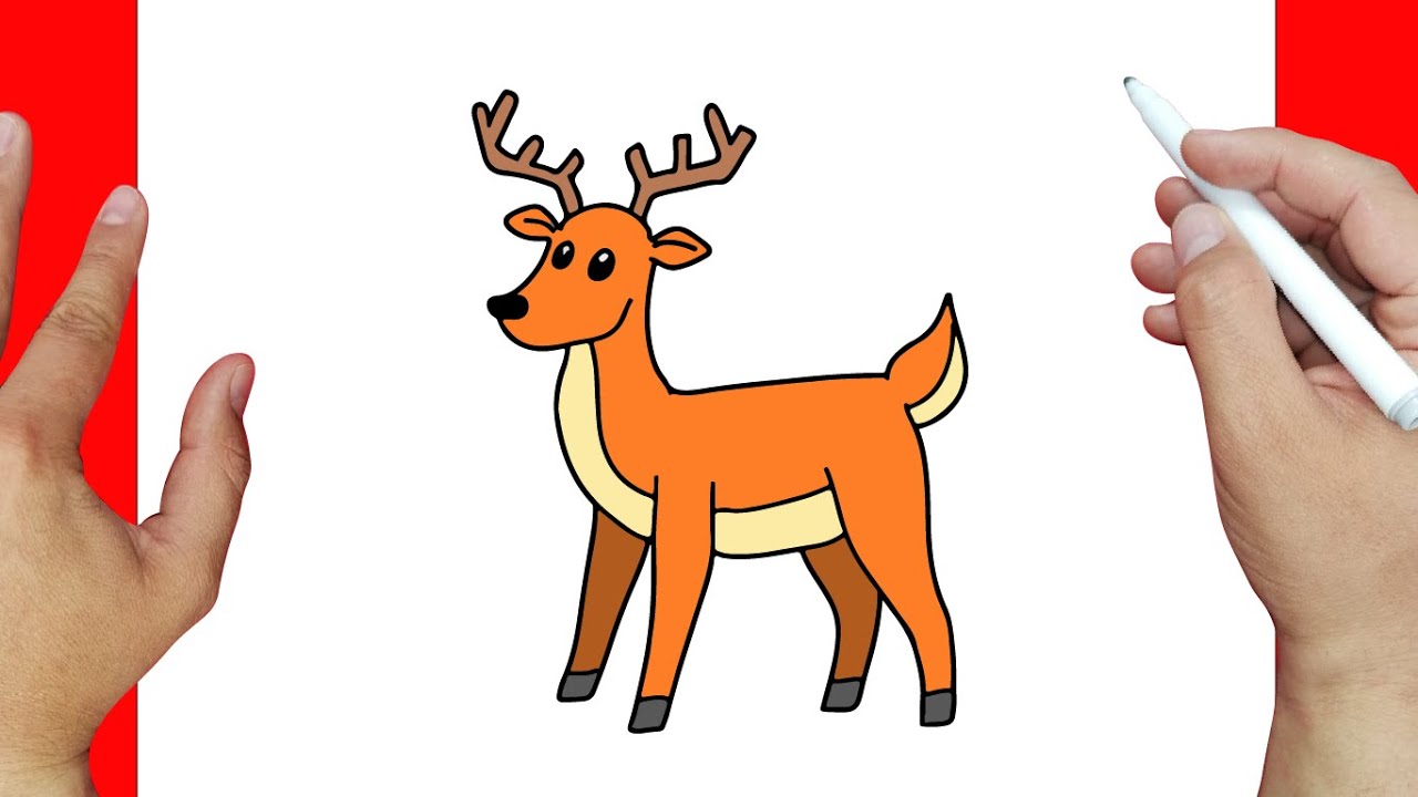 Cómo dibujar un Ciervo paso a paso | Dibujos fáciles - YouTube