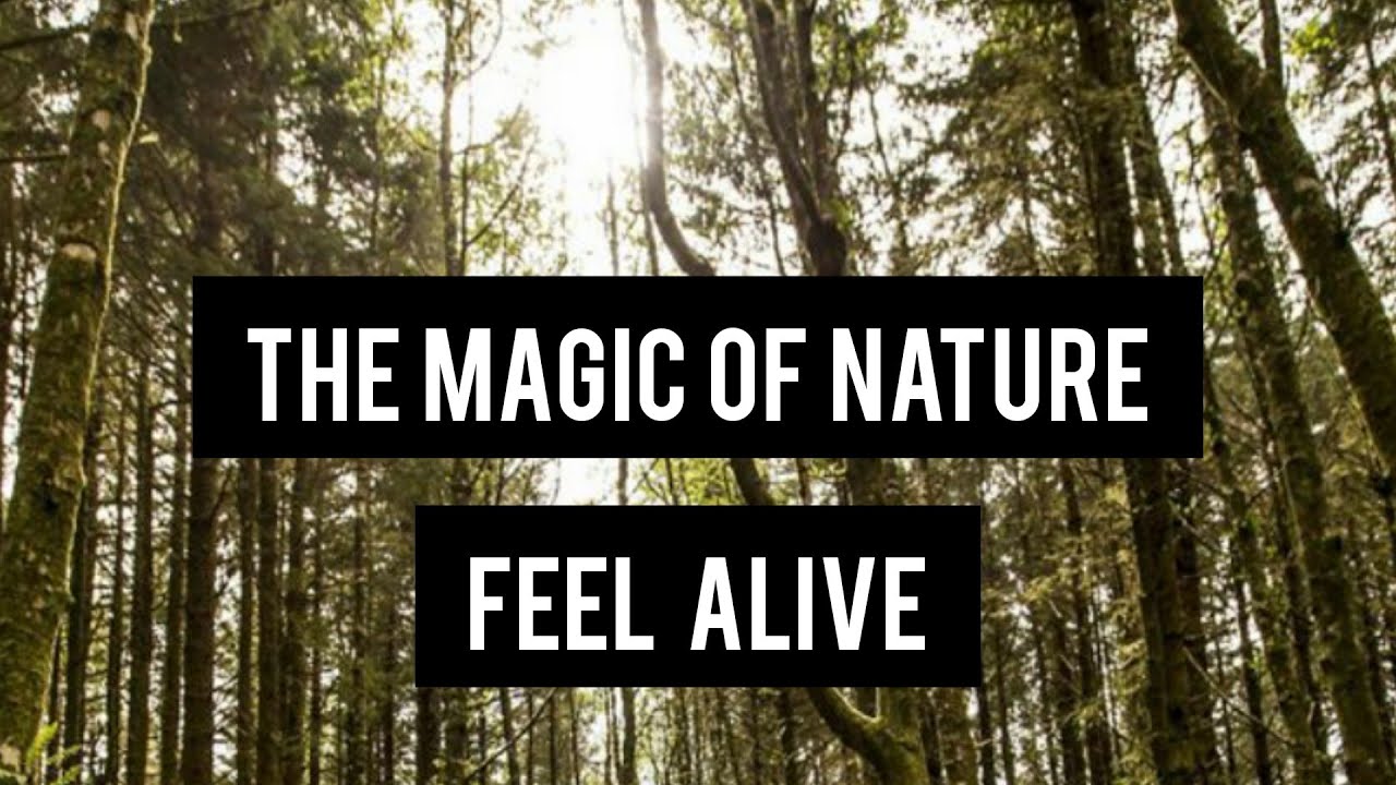 The Magic of Nature|| Beautiful nature video|| Flowers blooming - YouTube
