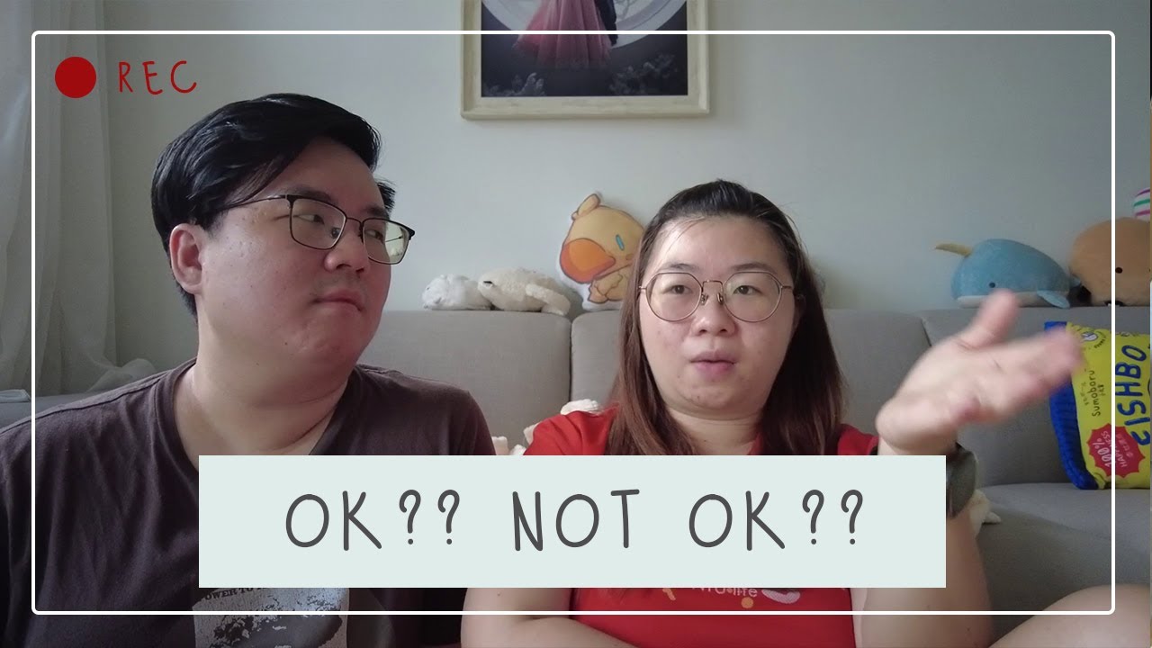 SEEMS OK, BUT LIKE NOT OK?? | Renovation On the Fence Regrets| 🏠 ...