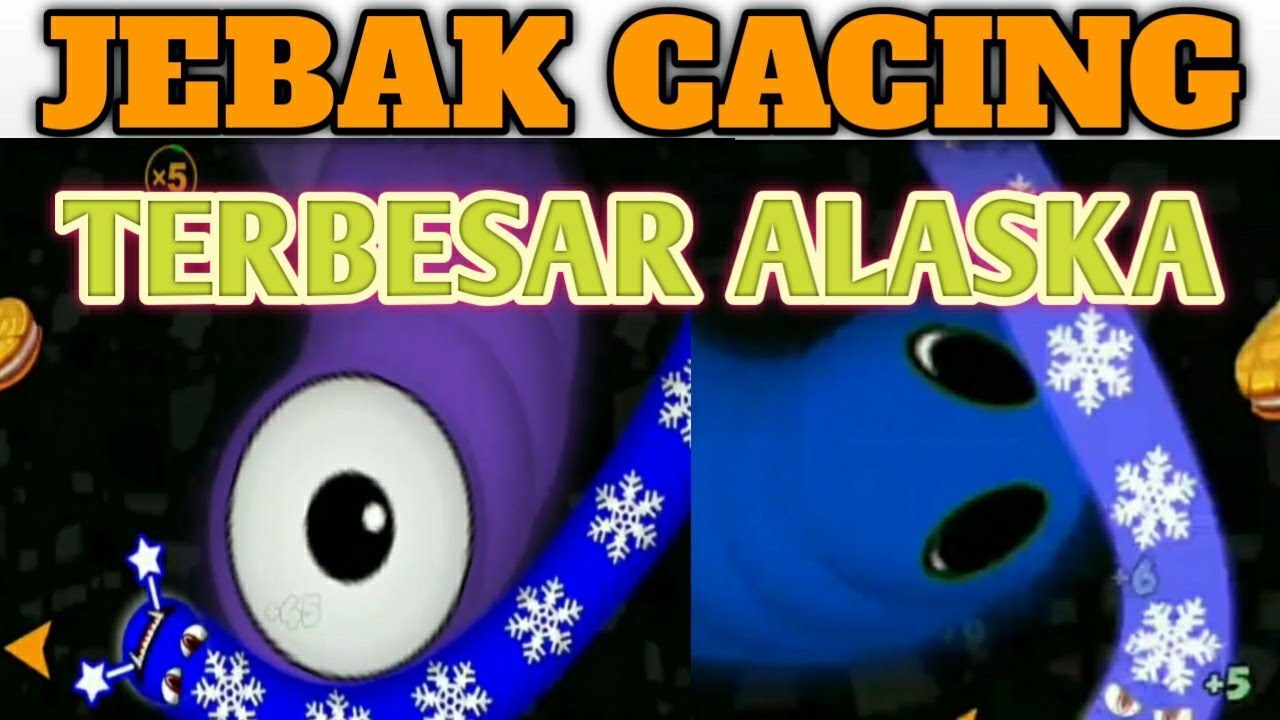 Jebak Cacing Besar Alaska | Zona Cacing | WormsZone Indonesia - YouTube