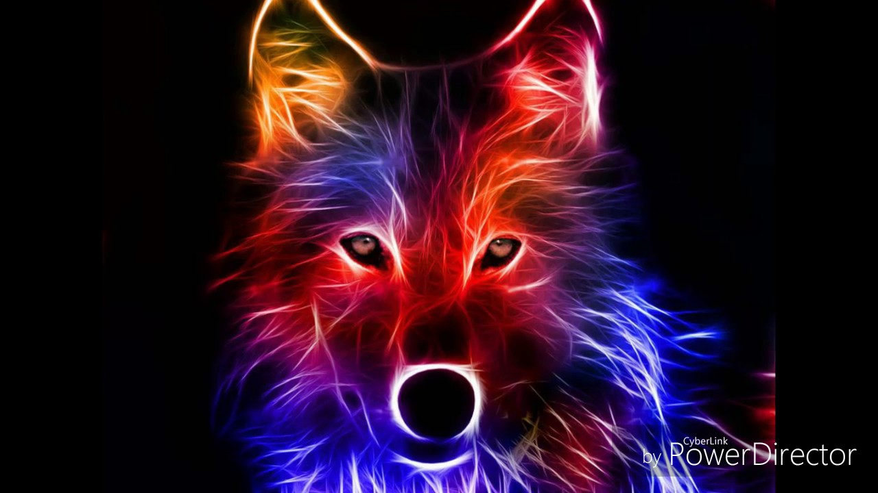 The most cool wolfs - YouTube