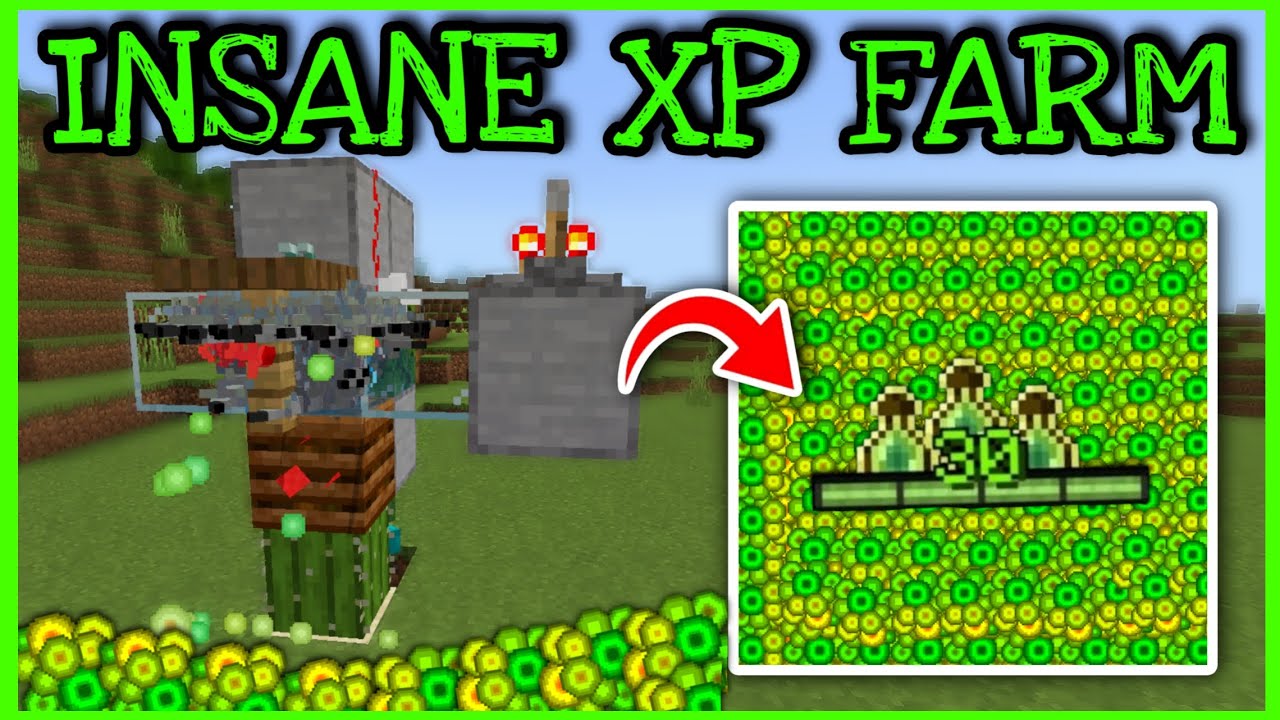 INSANE BEST CACTUS XP FARM in Minecraft Bedrock 1.21 | Minecraft XP ...