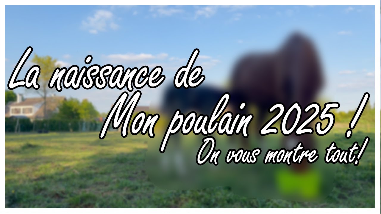 MON POULAIN EST NE ! - Naissance du Bébé 2025 ! - YouTube