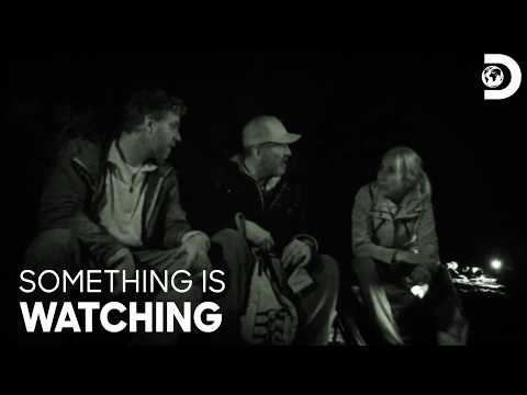 Did Bigfoot Stalk the Team? | Expedition Bigfoot S1E7 | Discovery Channel India