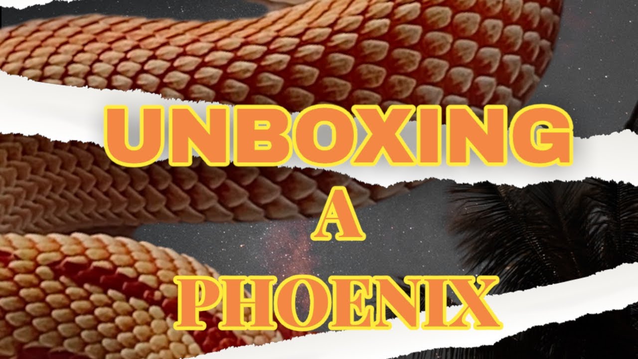 Unboxing Phoenix - YouTube