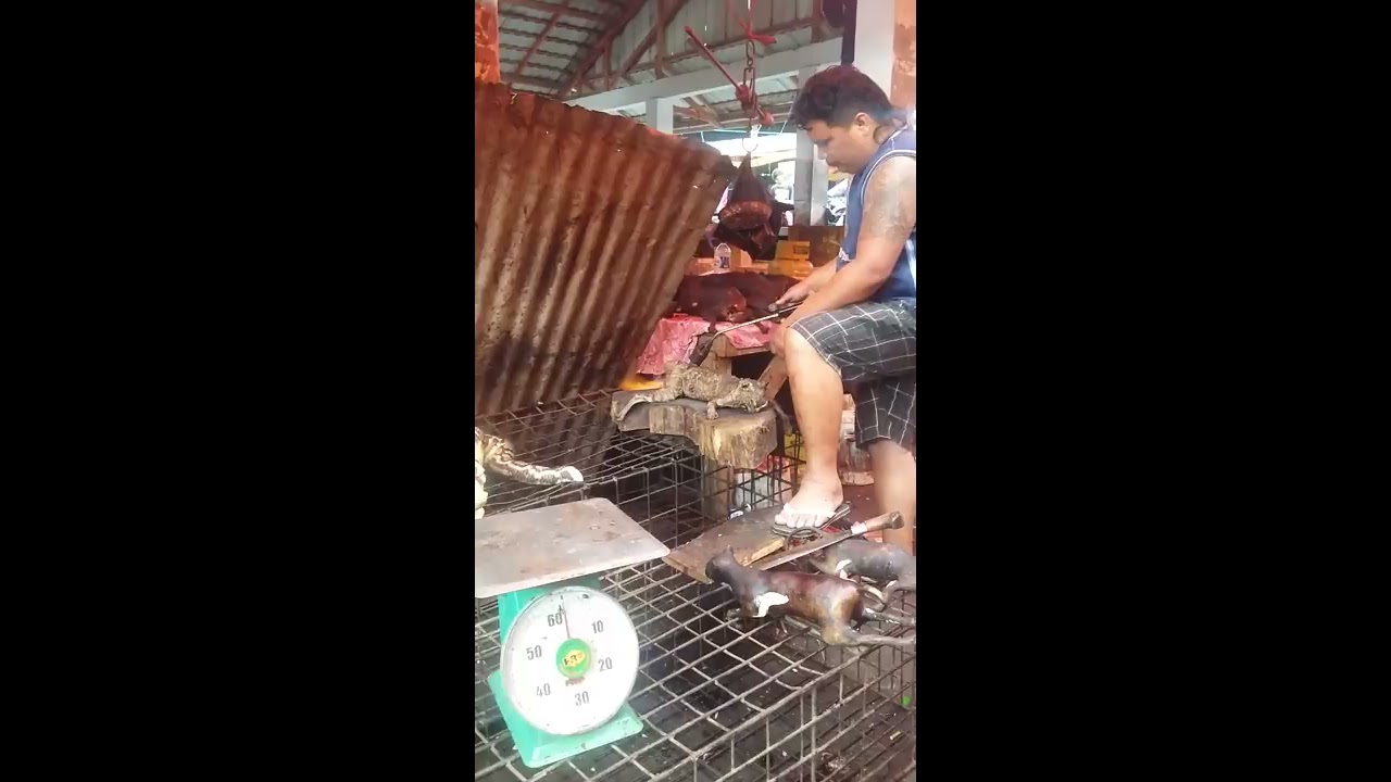 Pasar extreme tomohon (kucing bakar) - YouTube