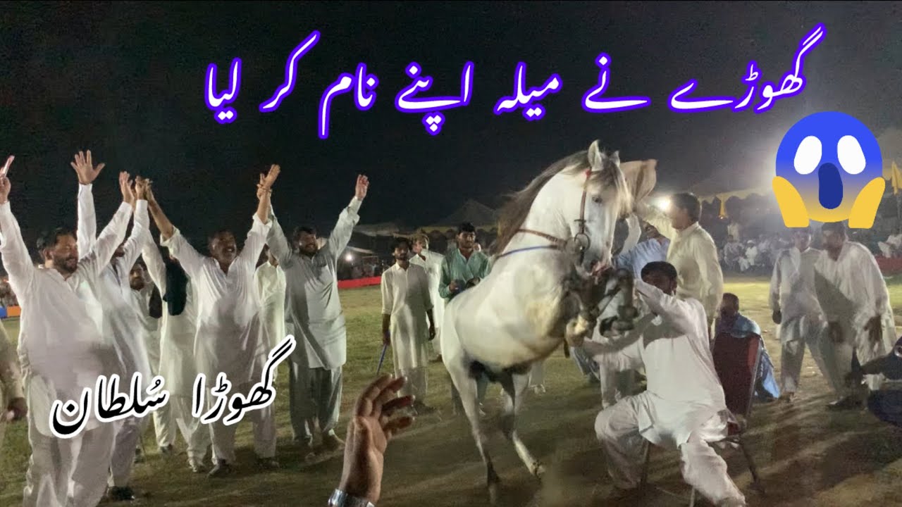 Horse Dance|Gohry Ny Mela Apny Nam Kar Liya|Annual Gohra Dance Mela ...