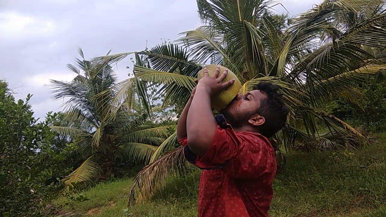 Drinking Coconut water without straw - YouTube
