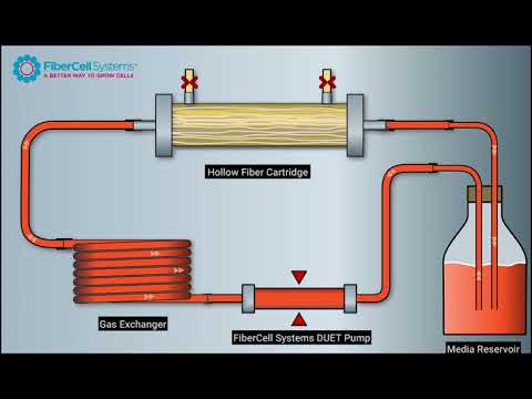 Hollow Fiber Bioreactor for Cell Culture by FiberCell Systems - YouTube