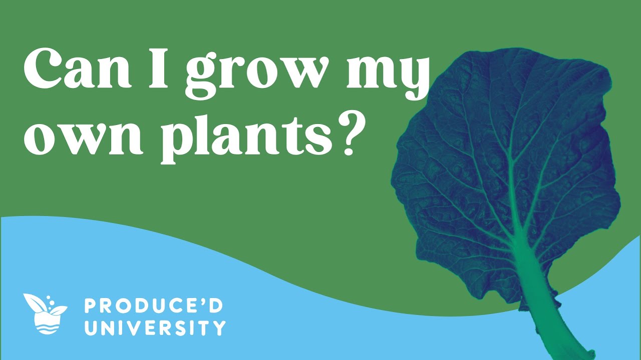 Can I grow my own plants? - YouTube