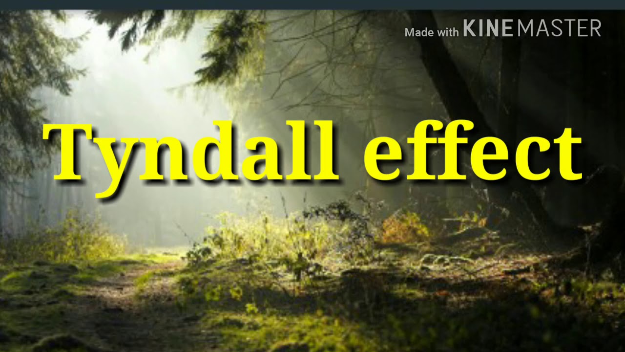 PHYSICS Part 3 Tyndall Effect - YouTube