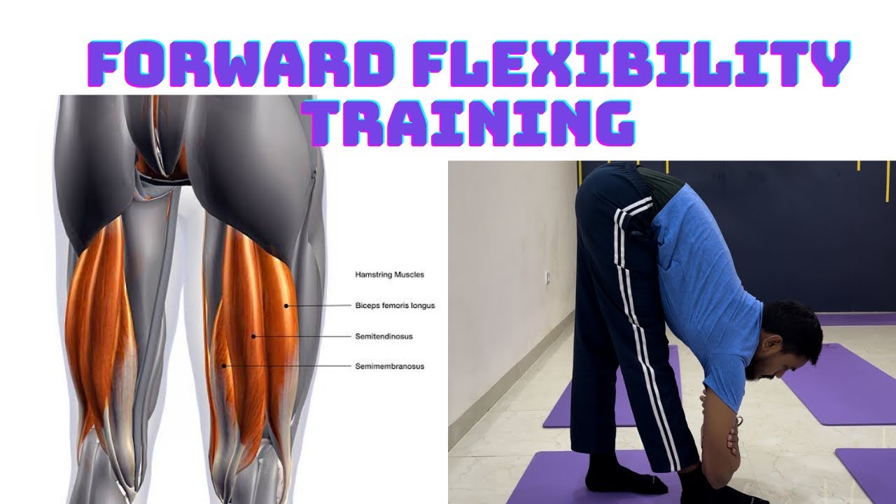 Forward Flexibility Training/Hamstring Muscles Exercises/Glutes Opening ...