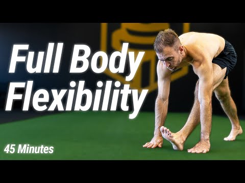 45 Minute Full Body Flexibility Routine (Follow Along) - YouTube