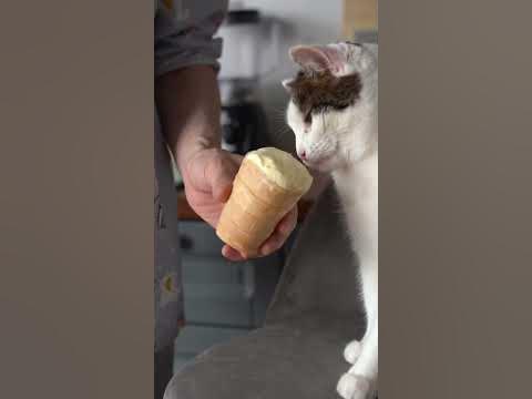 Сливочное пиво :3 - YouTube