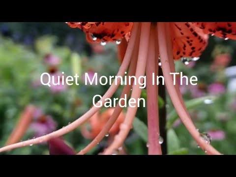 Join Me For Morning Quiet Time In The Garden - YouTube