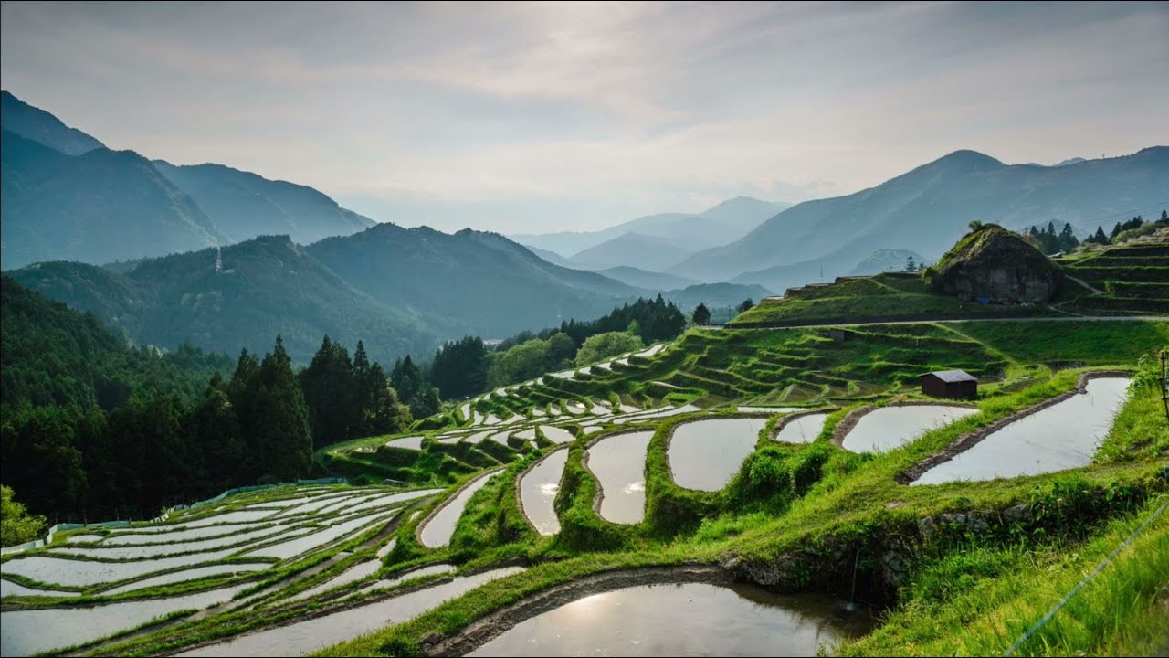 The world´s number 1 in rice processing - YouTube